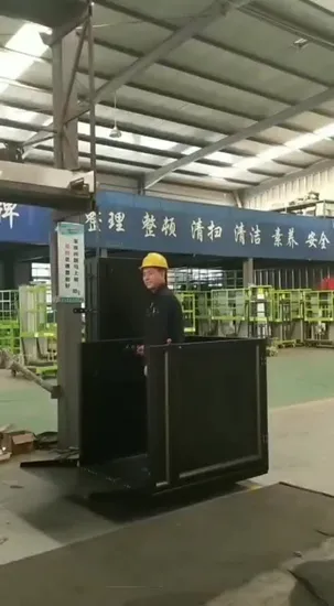 Indoor Home Vertical Wheelchair Disable Lift Home Elevator | Fujian ...